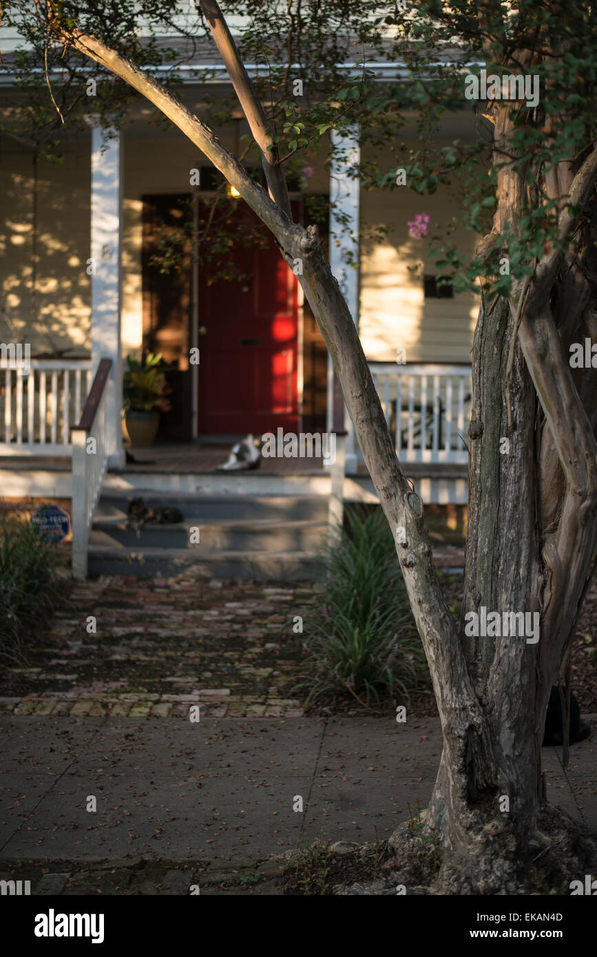 Natchez Miss. turn of the century Stock Photo - Alamy