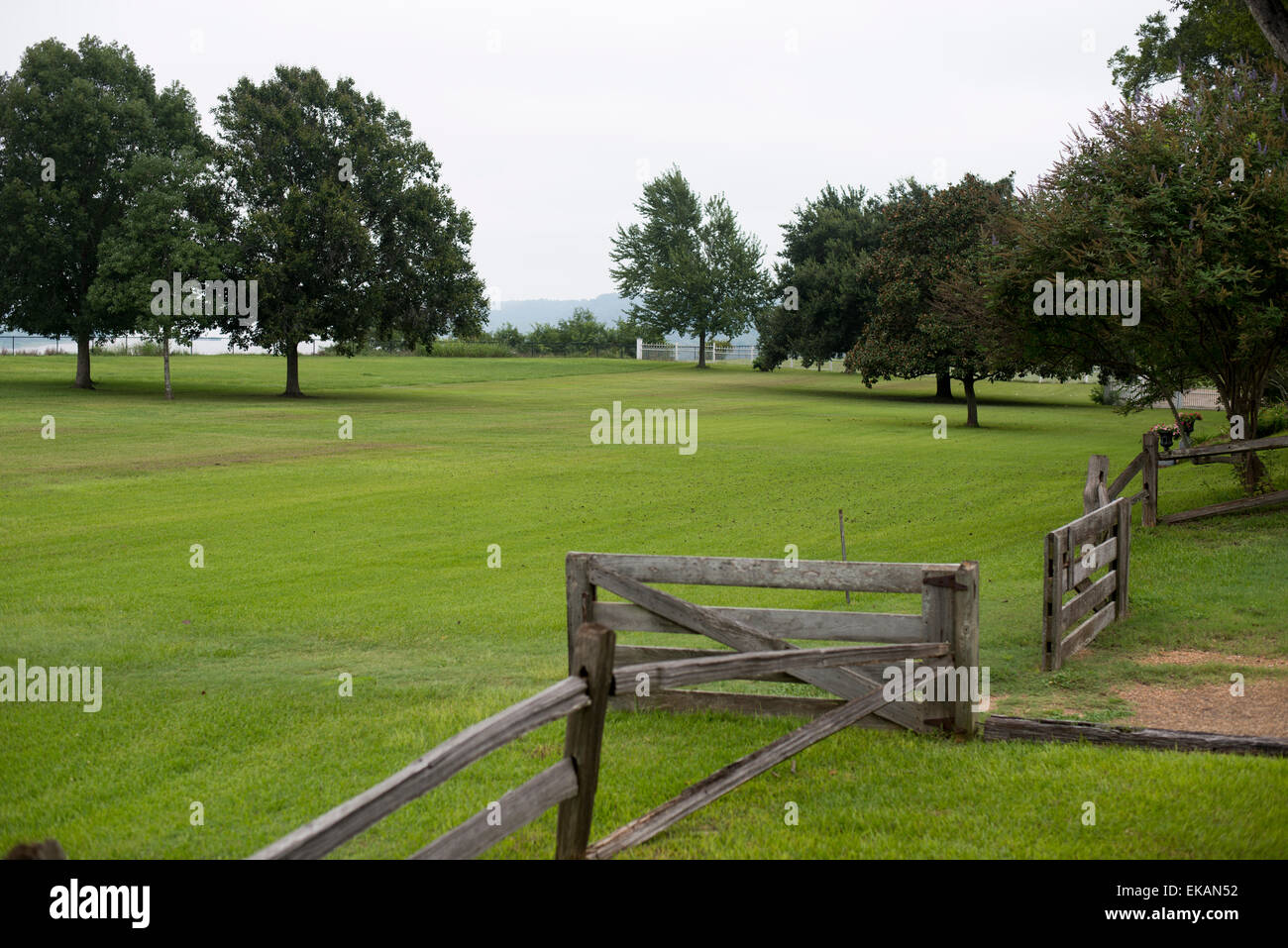 St. Joseph Plantation, historic plantation,Sugar cane Stock Photo - Alamy