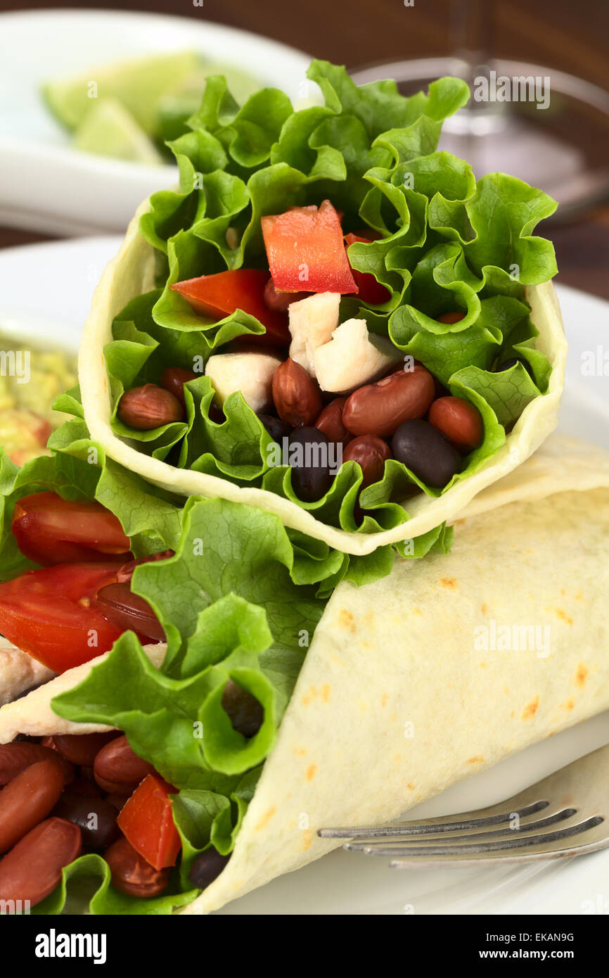 Mexican tortilla wraps filled with chicken, beans, tomato and lettuce ...