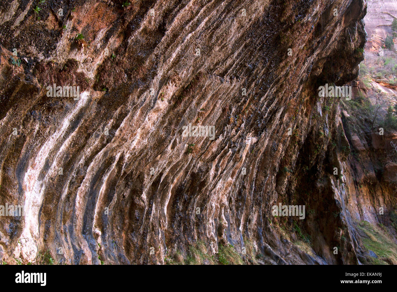 Zion cliff face hi-res stock photography and images - Alamy