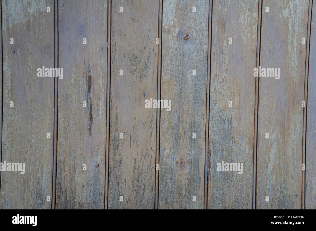 texture wood wooden detail background floor ground plant tree teak wood ...