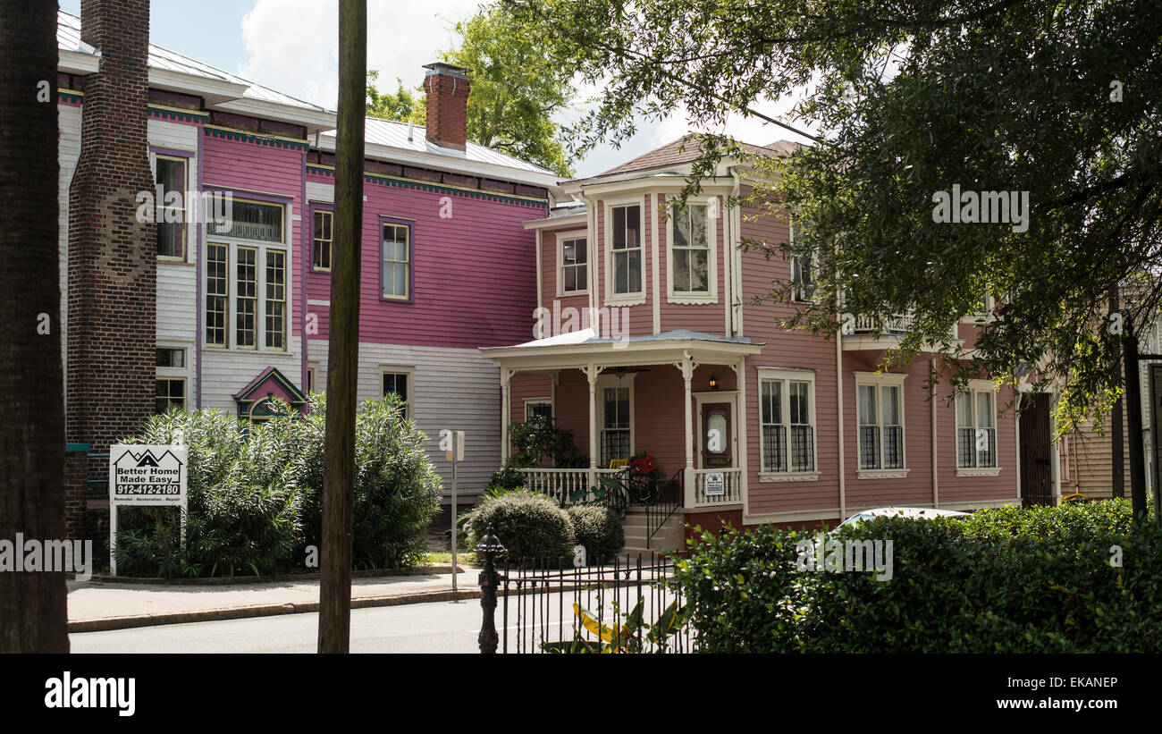 Colors of Savannah Stock Photo - Alamy