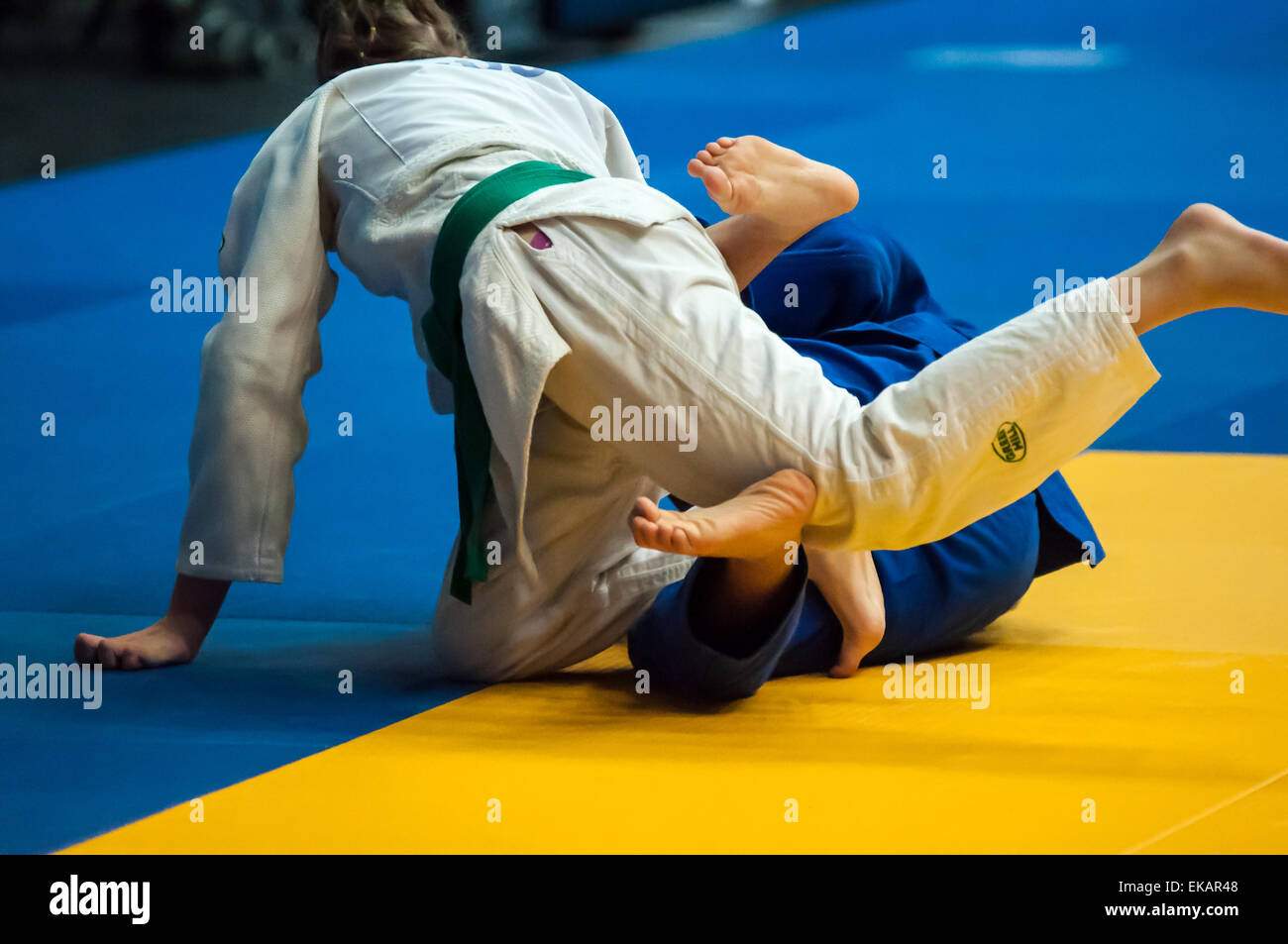 ORENBURG - 29 October: All-Russian Judo tournament in memory of Viktor ...