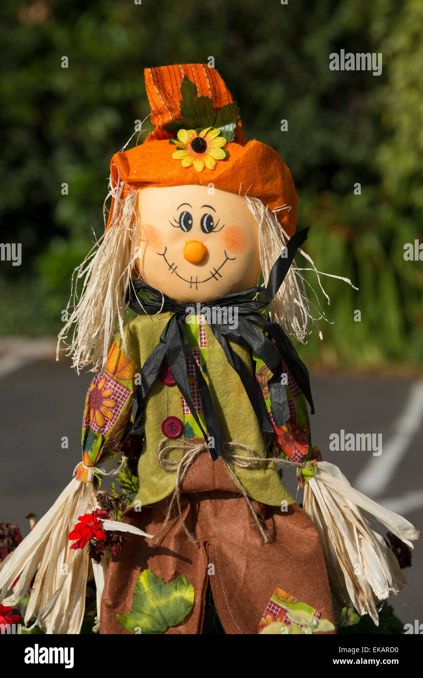 Sunflower scarecrow hi-res stock photography and images - Alamy
