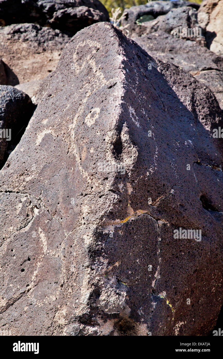Hundreds of ancient petroglyphs can be seen near the Santa Fe River in ...