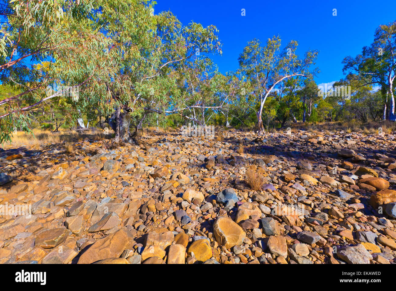 outback landscape Central Australia Northern Territory Australian Stock ...
