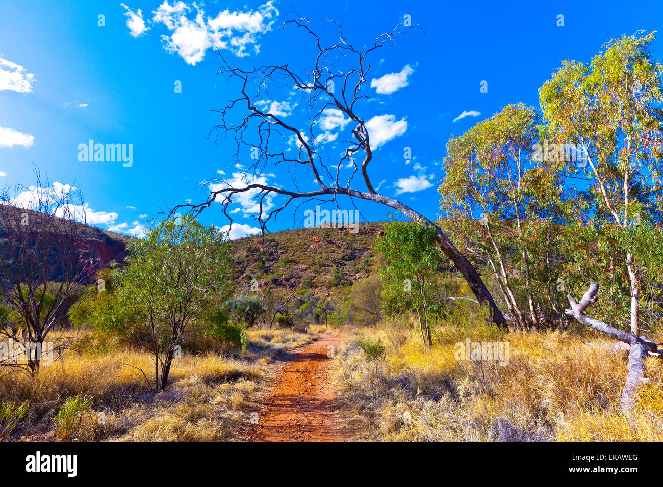 Australian outback landscape hi-res stock photography and images - Alamy