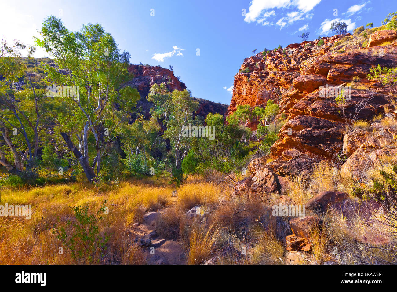 outback landscape Central Australia Northern Territory Australian Stock ...