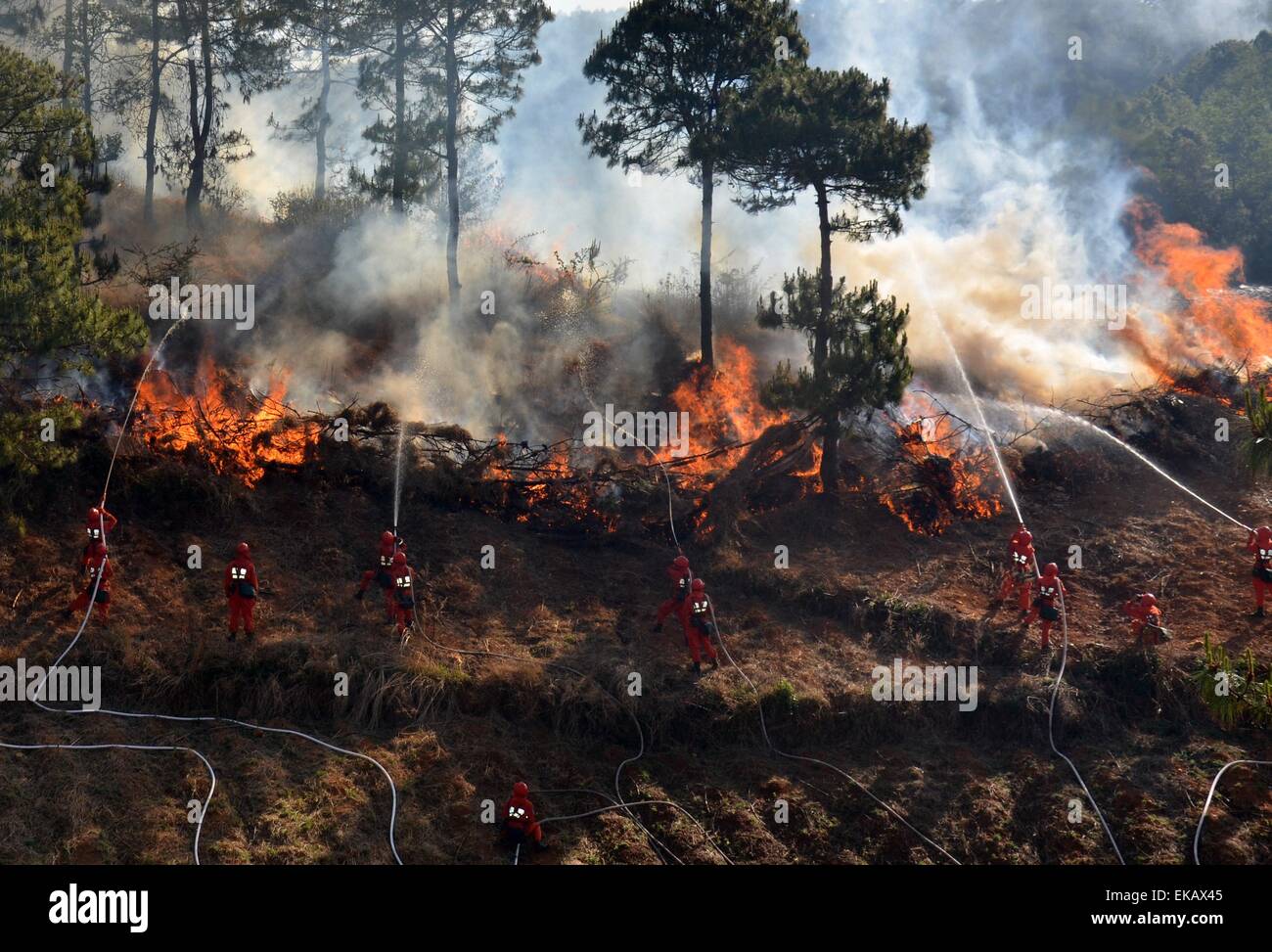 Forest fire drill hi-res stock photography and images - Alamy