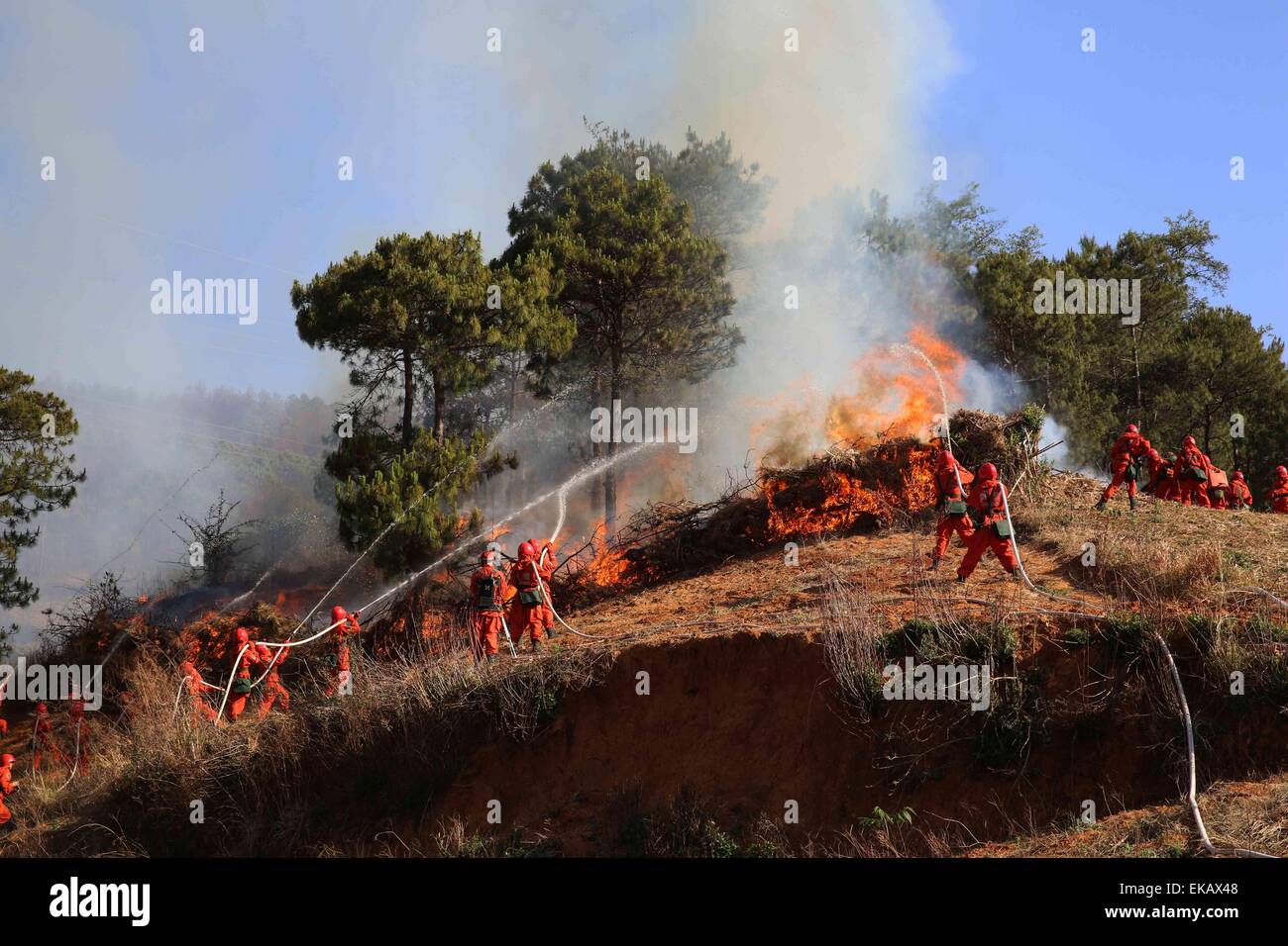 Forest fire drill hi-res stock photography and images - Alamy