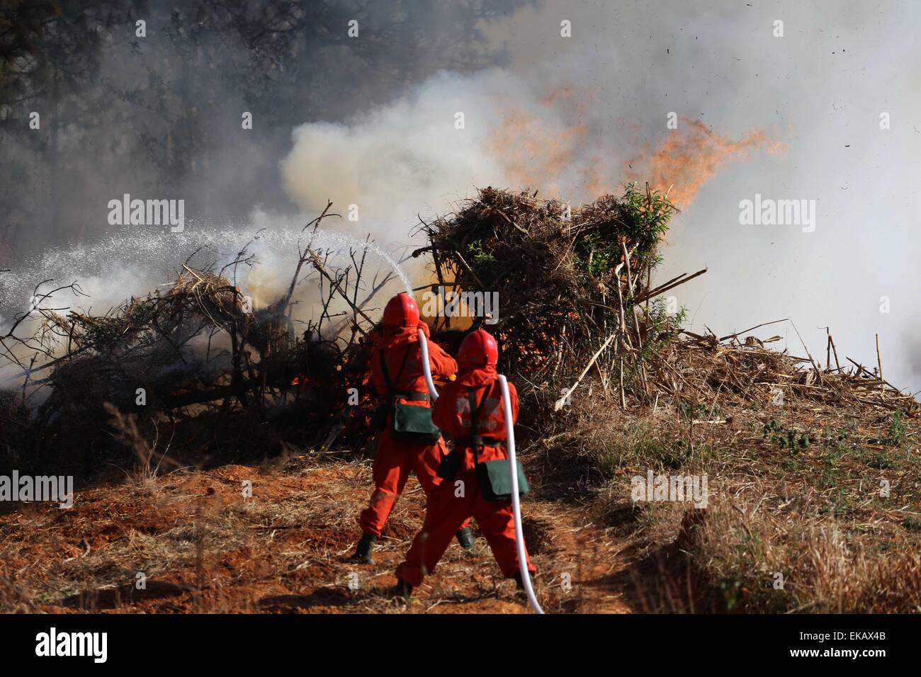 Forest fire drill hi-res stock photography and images - Alamy