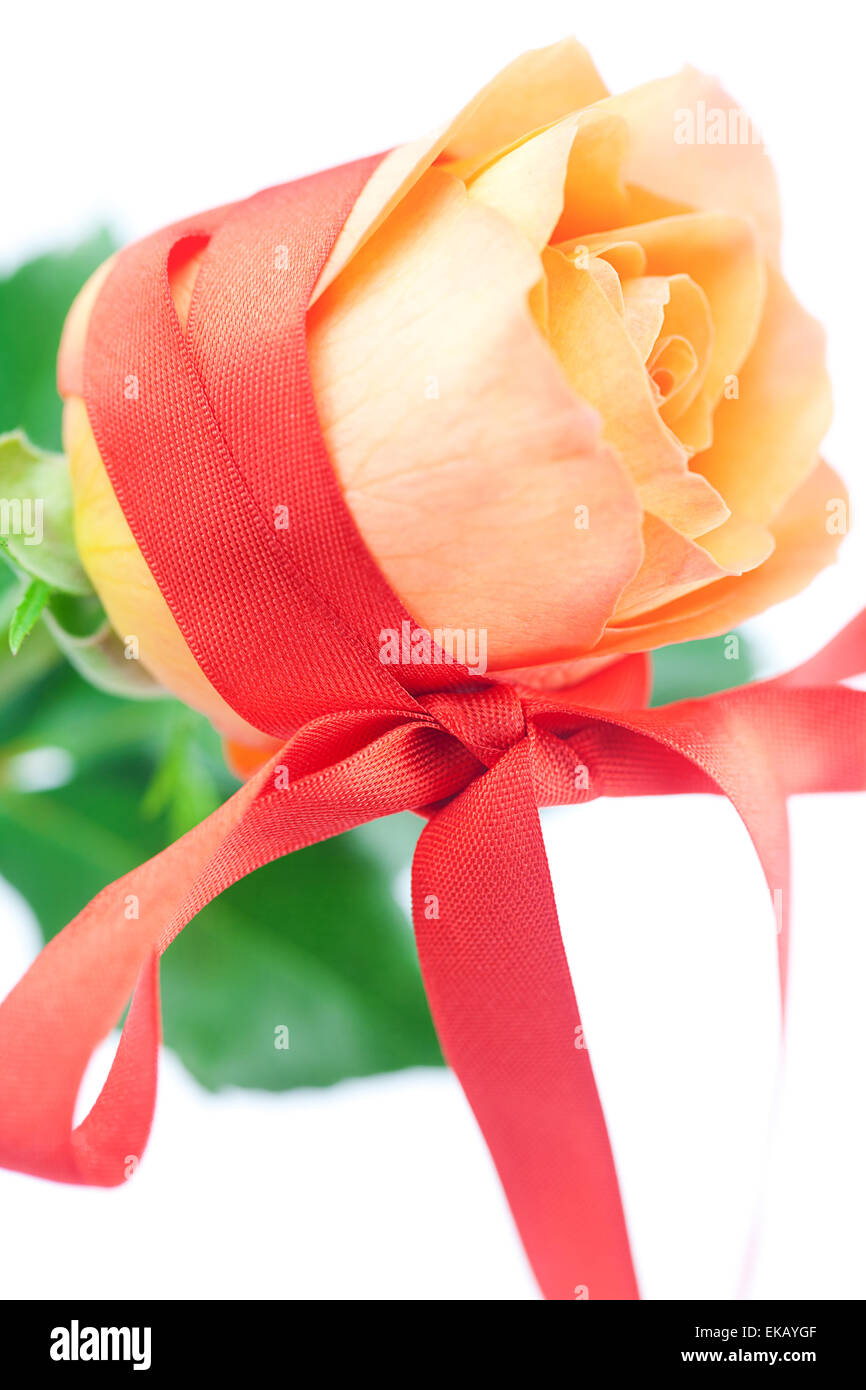 Rosewith hi-res stock photography and images - Alamy
