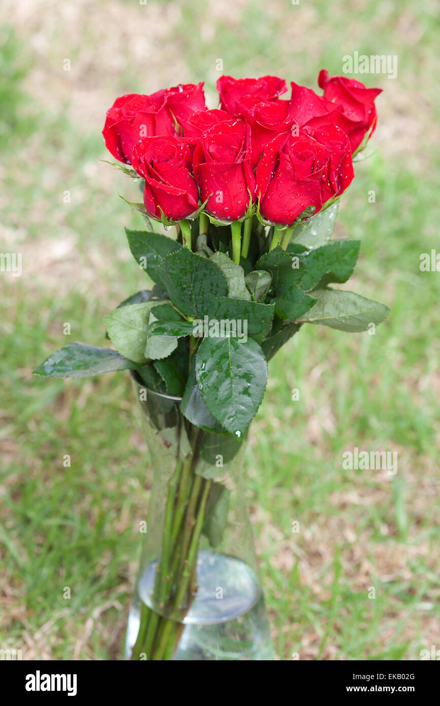 beautiful bouquet of red roses with water drops Stock Photo - Alamy