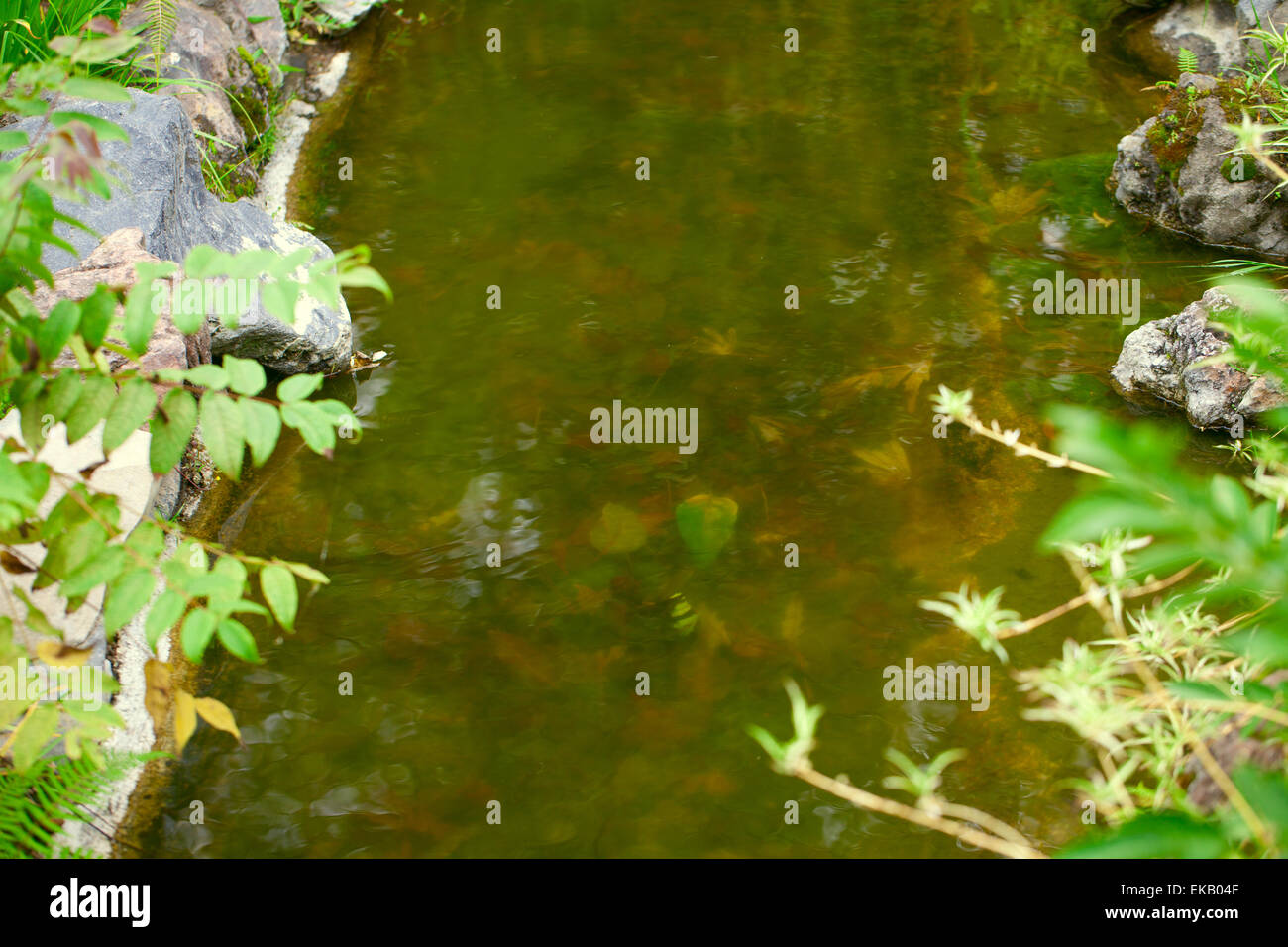 The chinese stream garden hi-res stock photography and images - Alamy