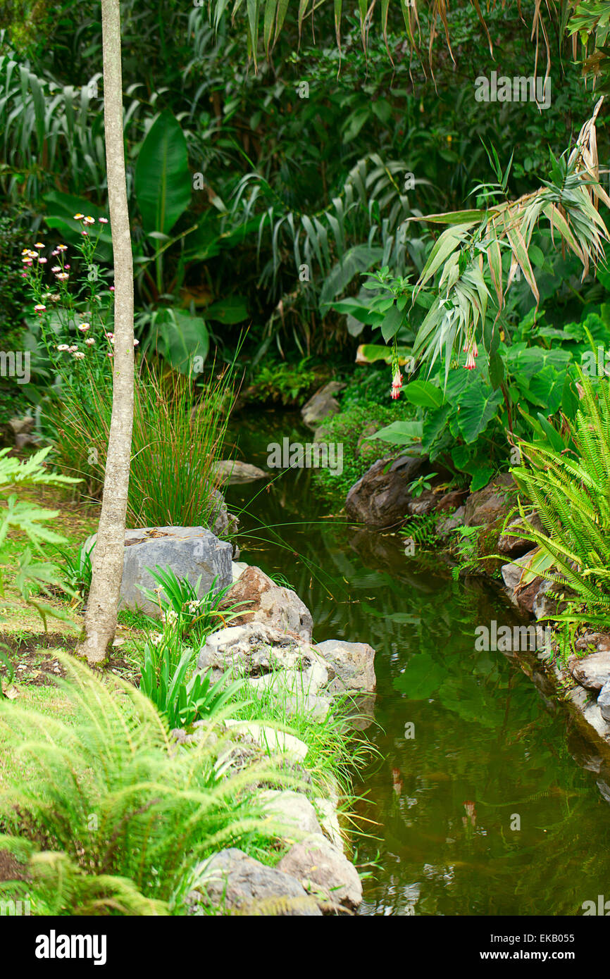 creek in the garden with green trees Stock Photo - Alamy