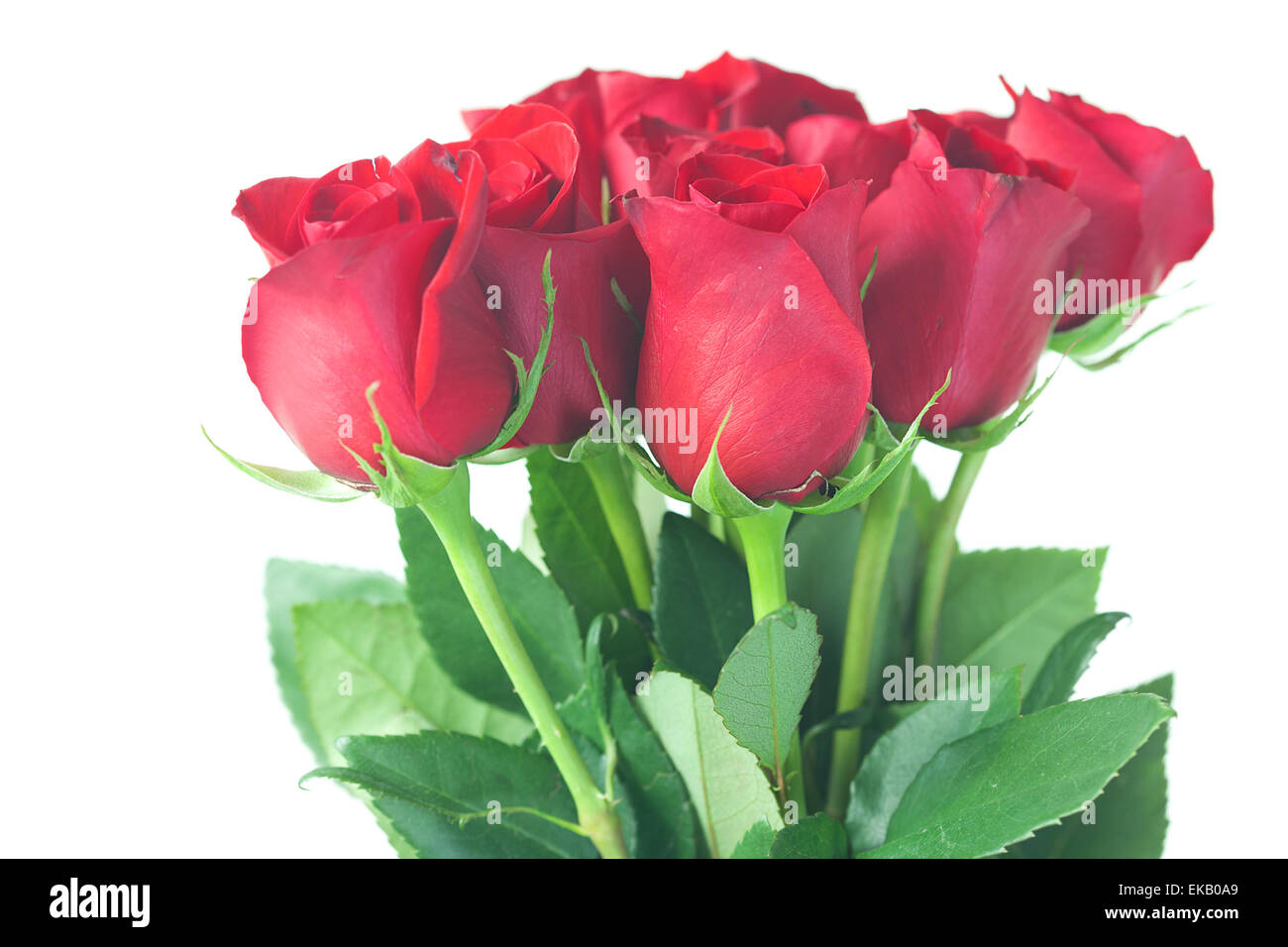 beautiful bouquet of red roses isolated on white Stock Photo - Alamy