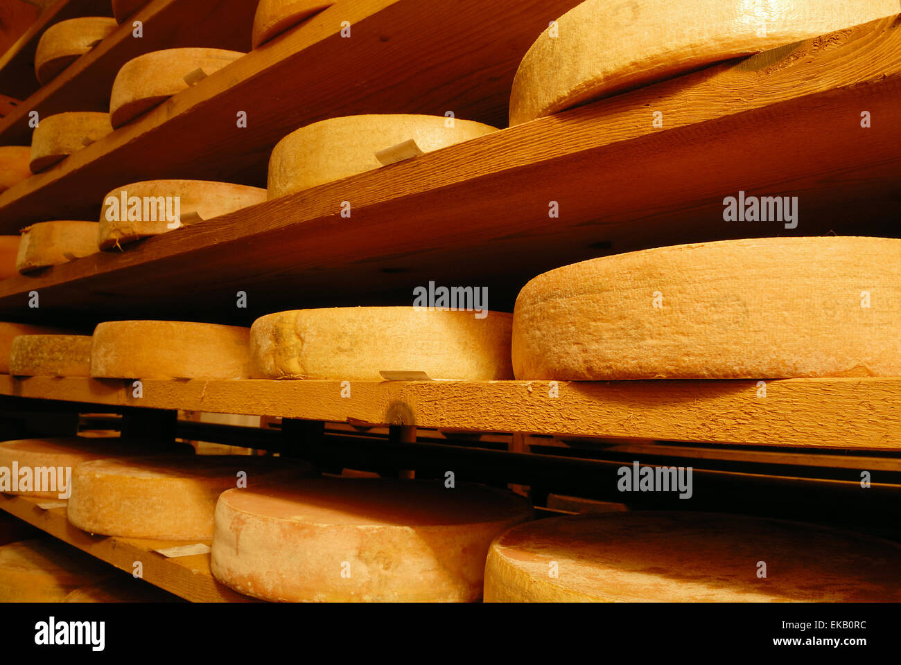 Vacherin Fribourgeois cheese Stock Photo - Alamy