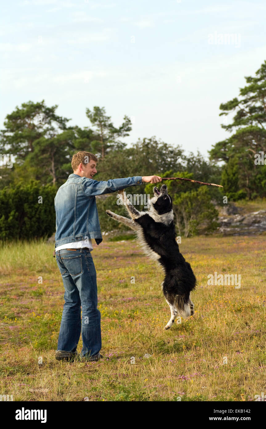 man playing with his dog outdoors Stock Photo - Alamy