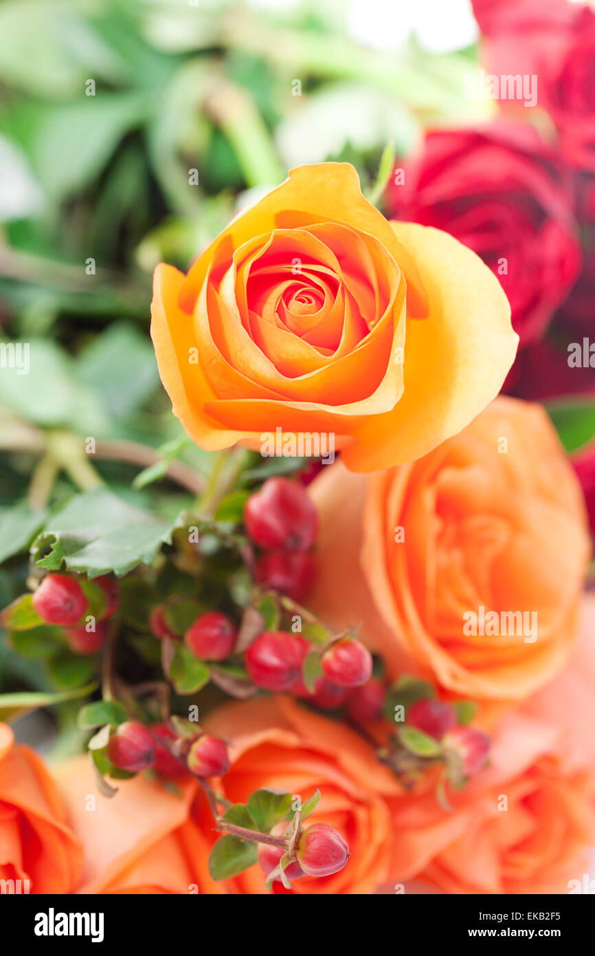 bouquet of colorful roses Stock Photo - Alamy