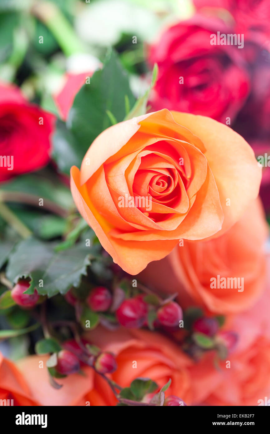 bouquet of colorful roses Stock Photo - Alamy