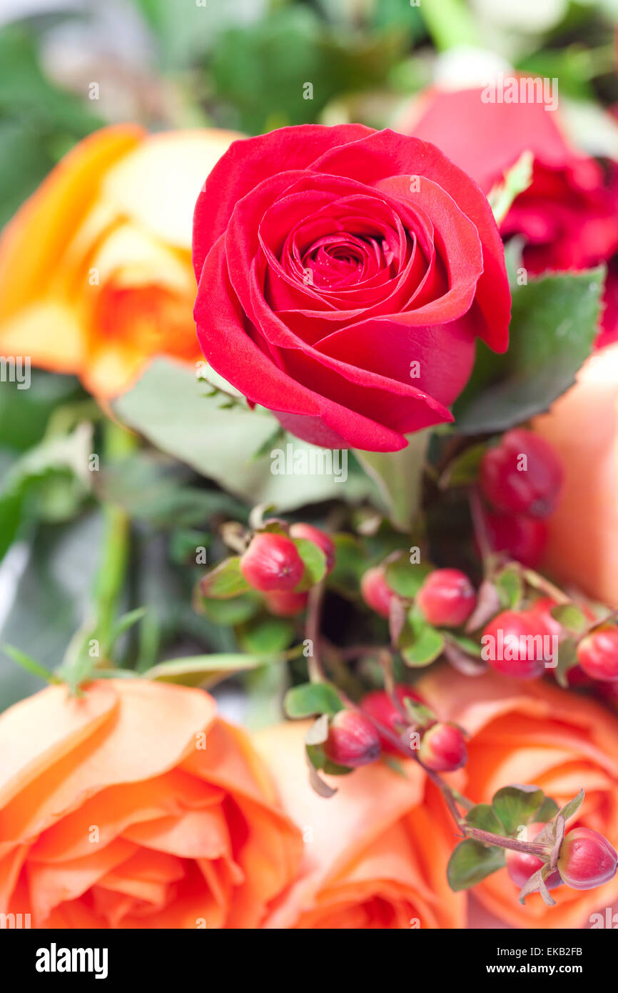 bouquet of colorful roses Stock Photo - Alamy