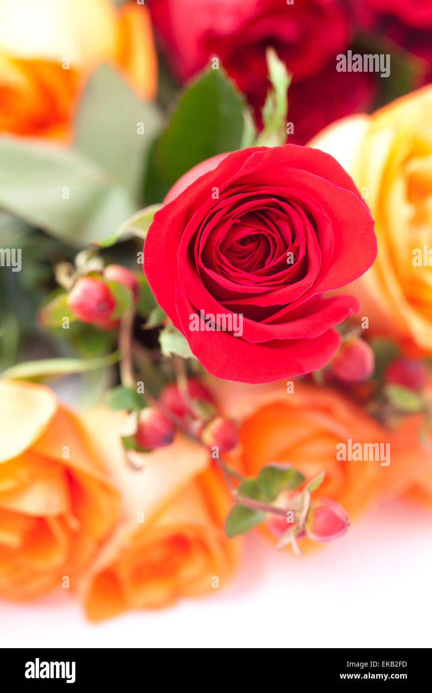 bouquet of colorful roses Stock Photo - Alamy