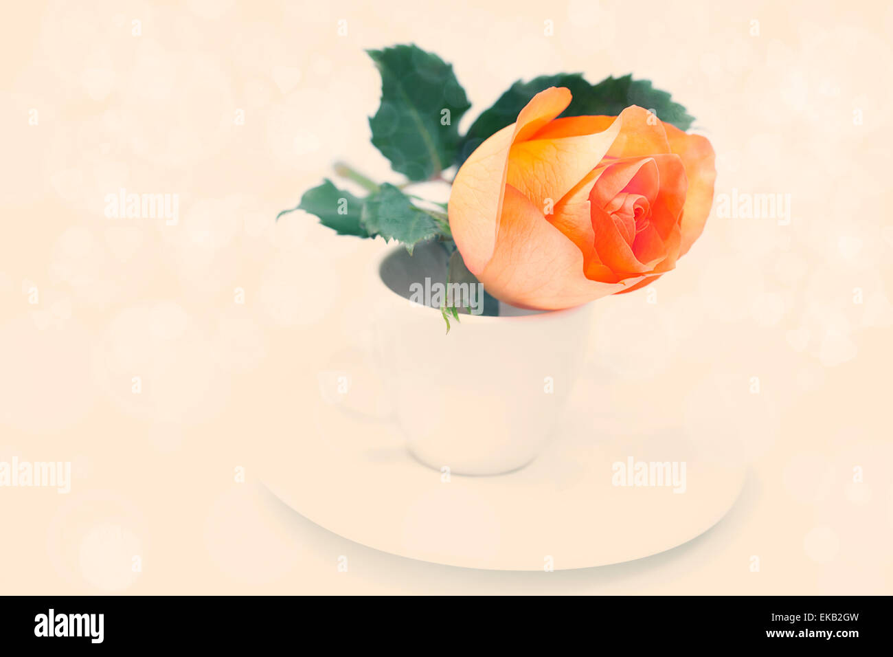 Rose and cup hi-res stock photography and images - Alamy