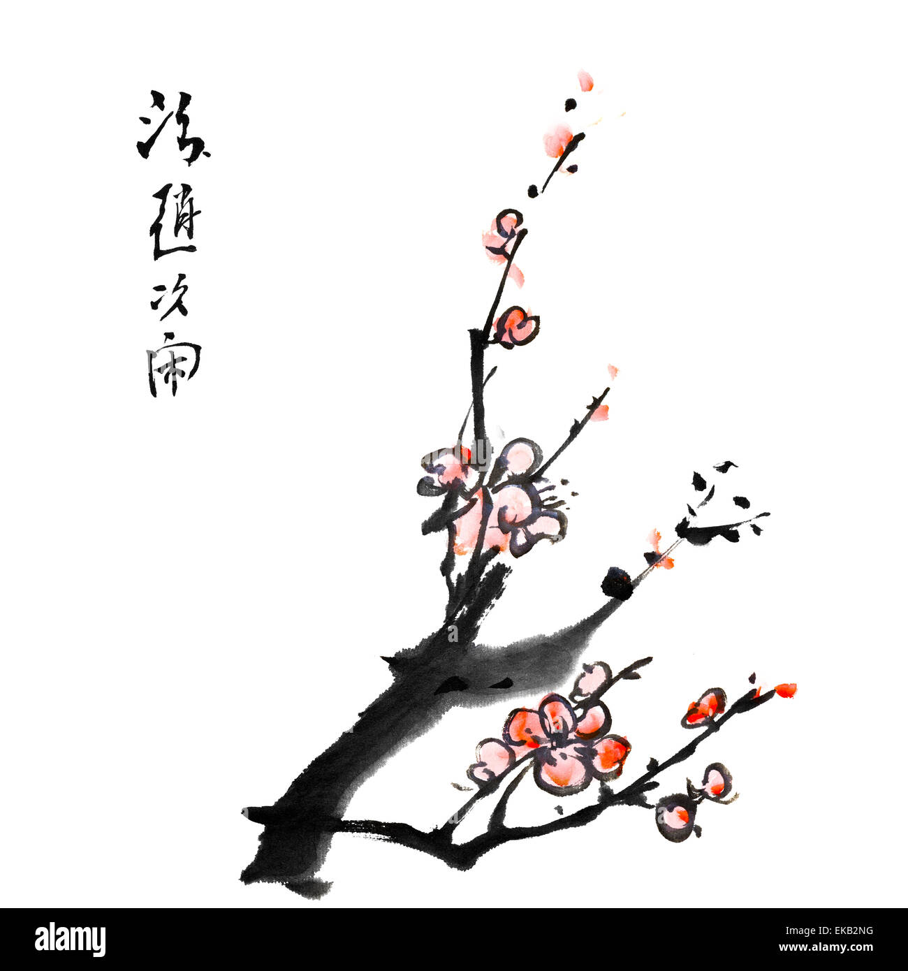 Plum blossom drawing hi-res stock photography and images - Alamy