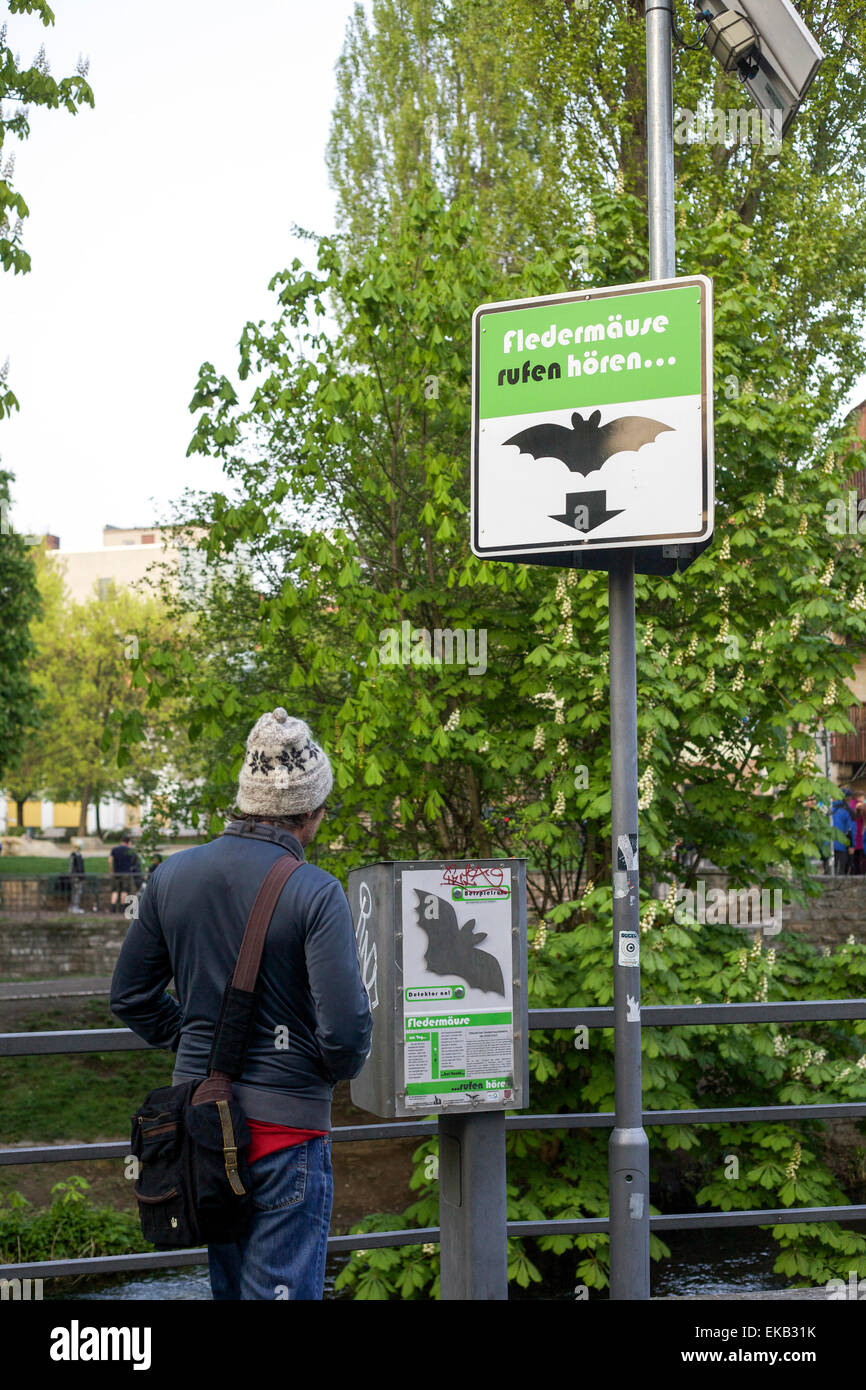 Bat detector hi-res stock photography and images - Alamy