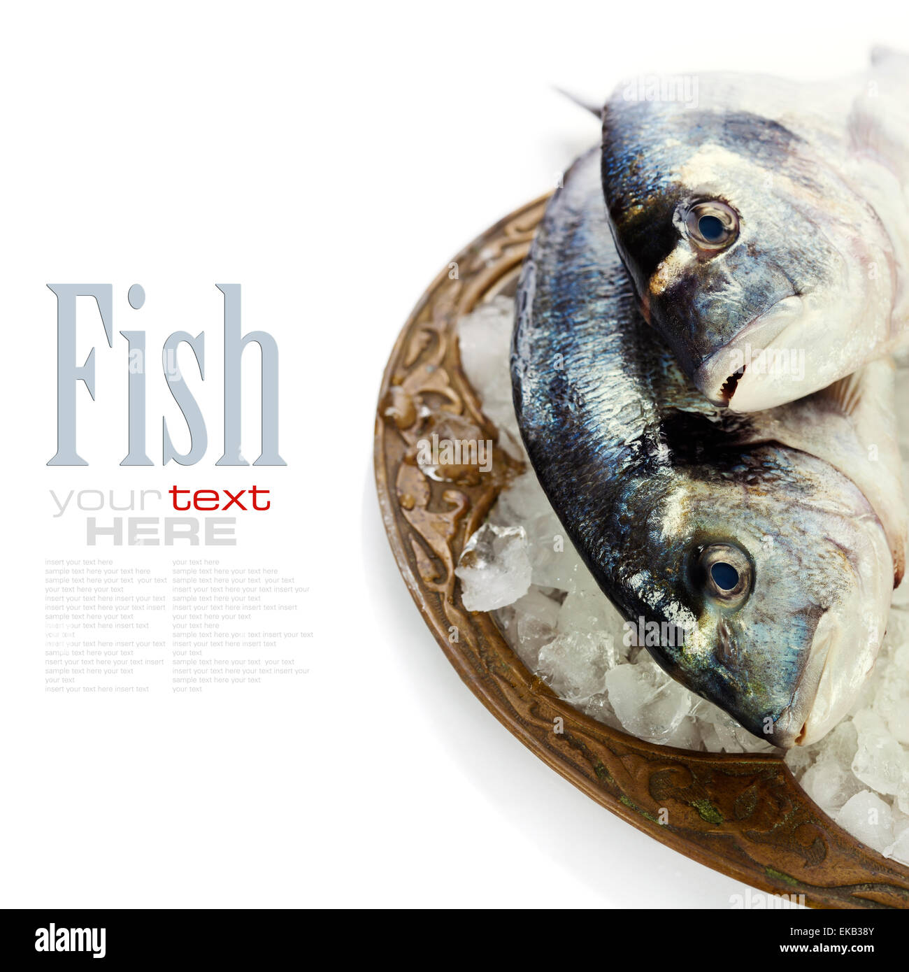 Fish layout hi-res stock photography and images - Alamy