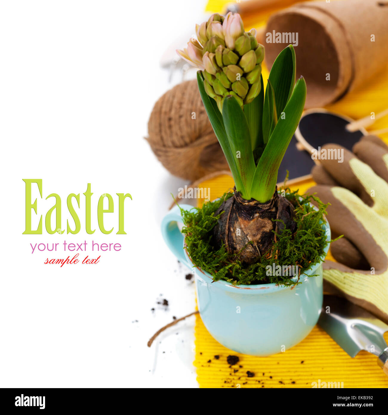 Spring flower in a cup and garden tools Stock Photo - Alamy