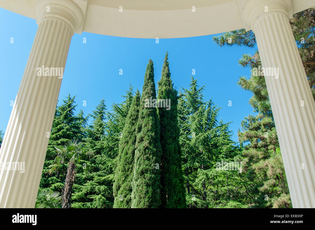 column and tree Stock Photo - Alamy