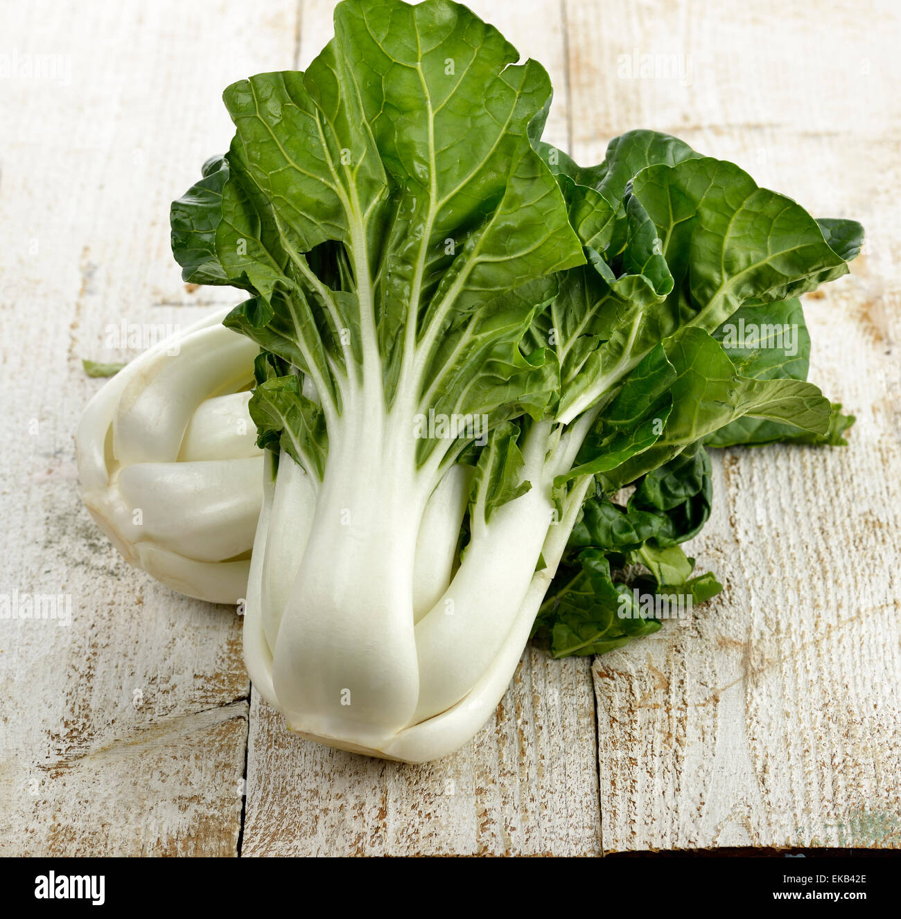 White Choy Sum Stock Photo - Alamy