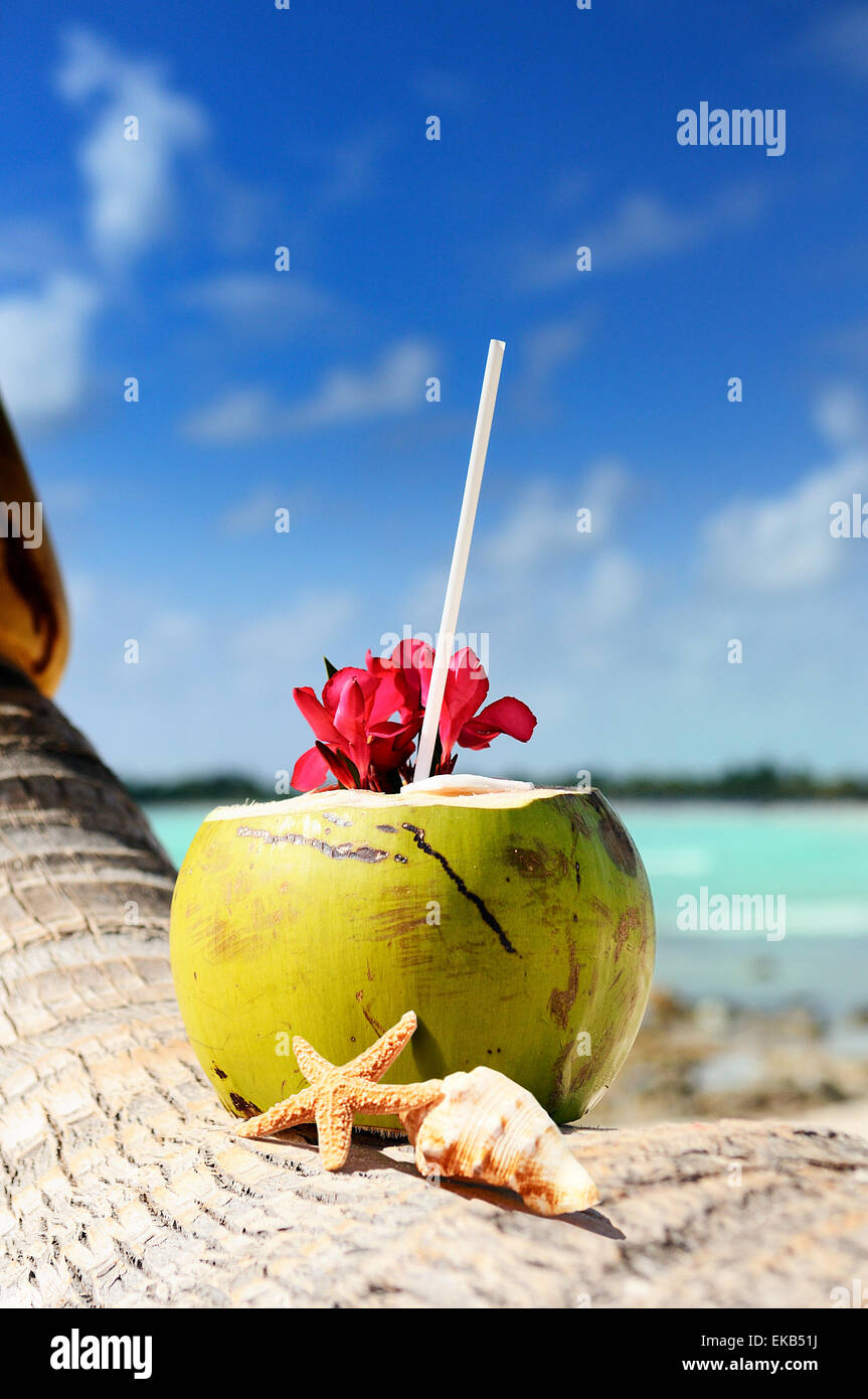 coconuts on the beach Stock Photo - Alamy