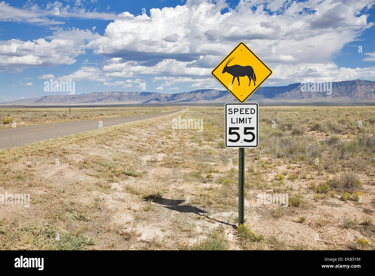 The Trinity Test Site, where the first atomic bomb was exploded on July ...