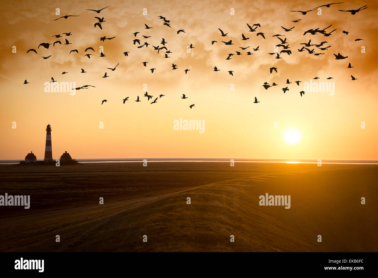 Sunset Lighthouse with migratory birds Stock Photo - Alamy