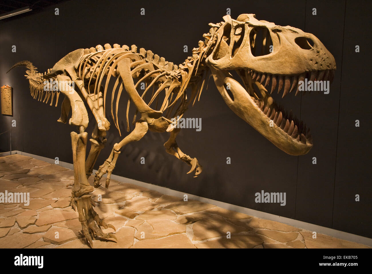 Late Jurassic