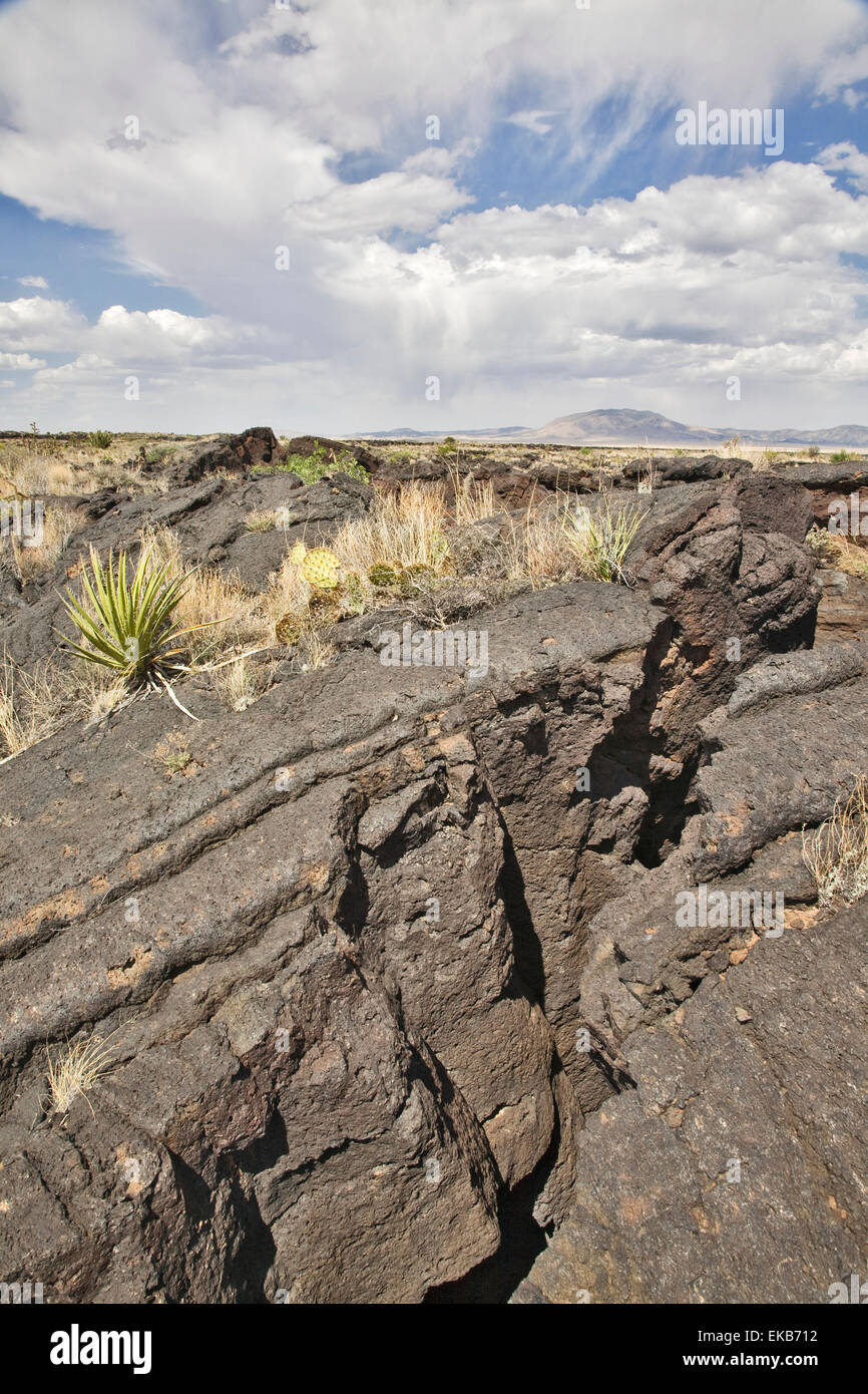 Large crevasses punctuate the dark lava flow at the Valley of Fires ...