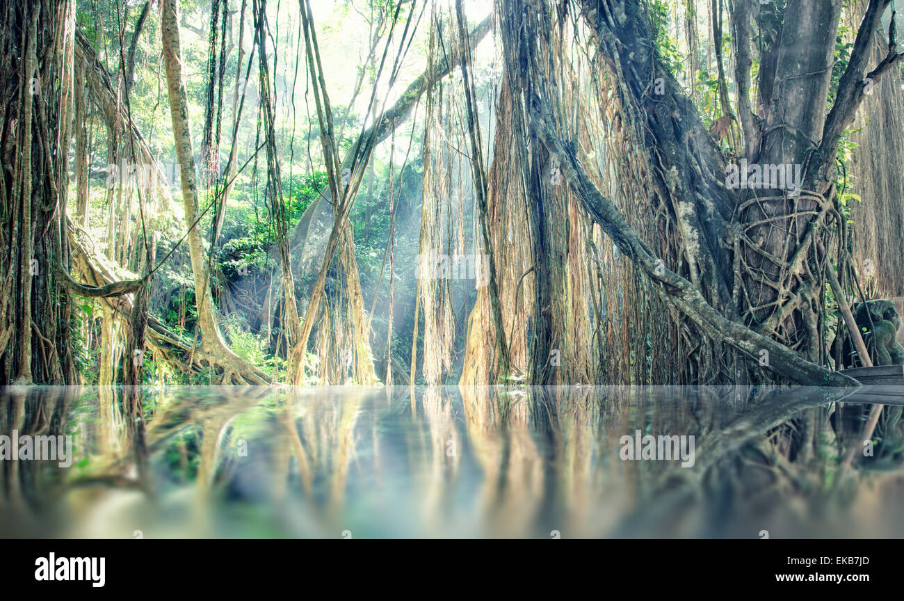 Indonesia green jungle hi-res stock photography and images - Alamy