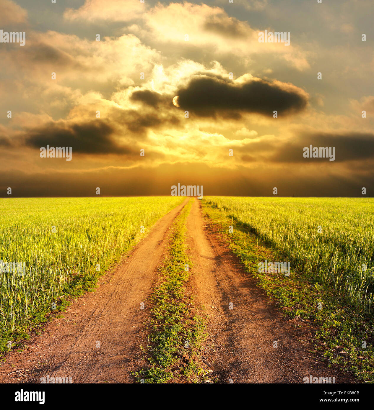 evening rural landscape with a road Stock Photo - Alamy