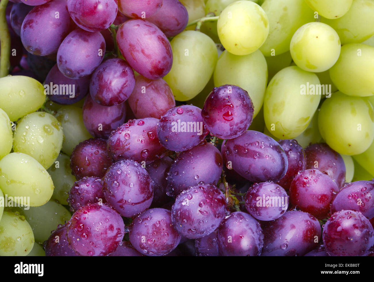 green and rose grapes background Stock Photo - Alamy