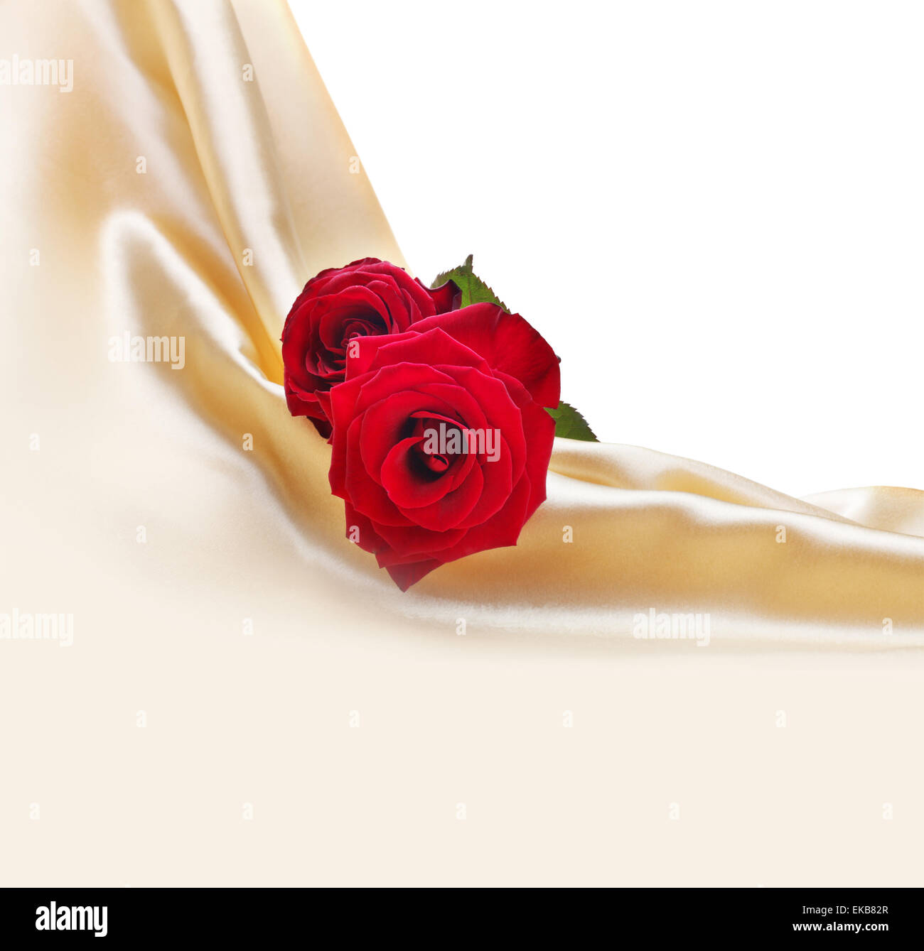 red roses on silk background Stock Photo - Alamy
