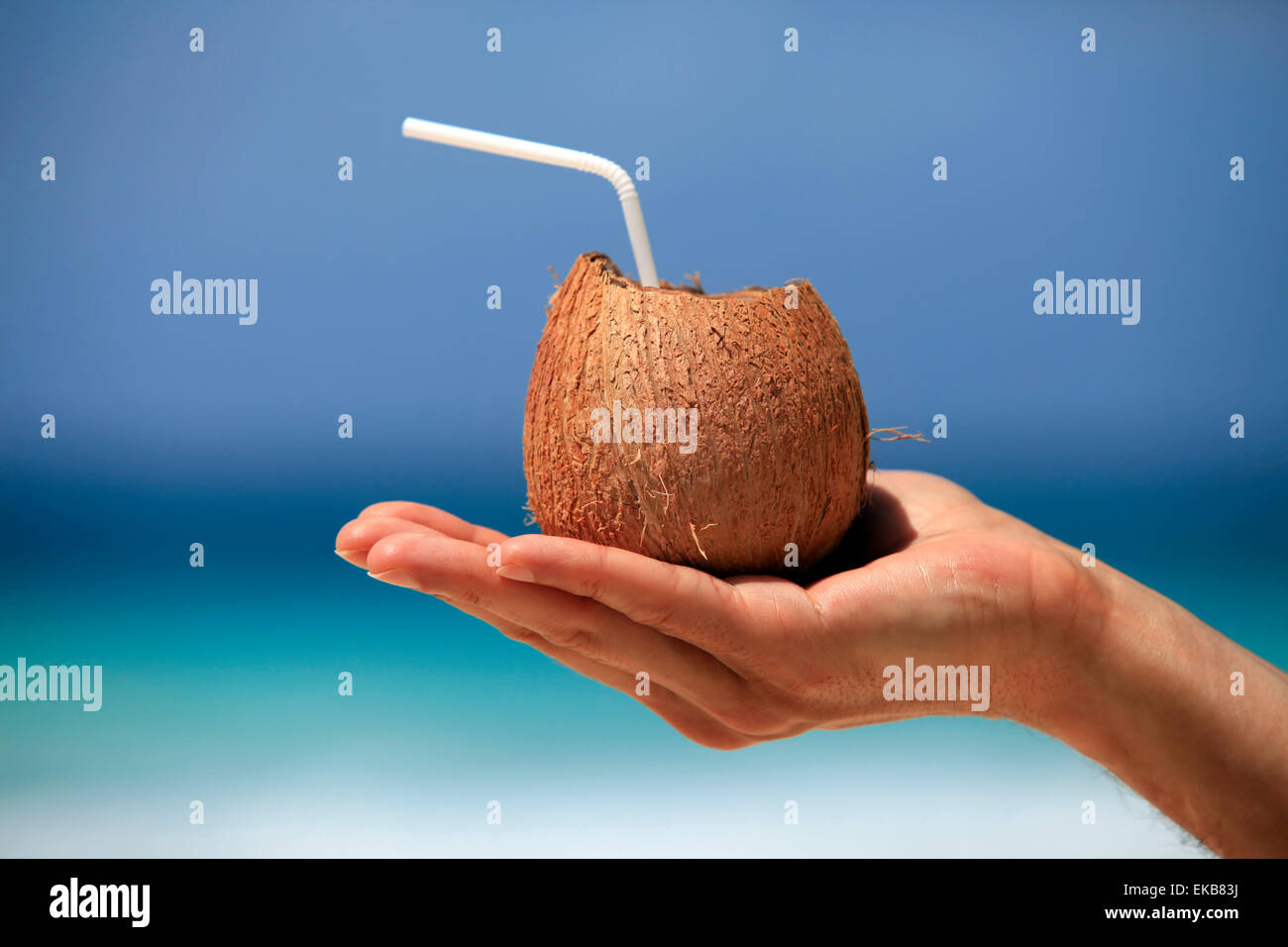 Coconut in mans hand hi-res stock photography and images - Alamy