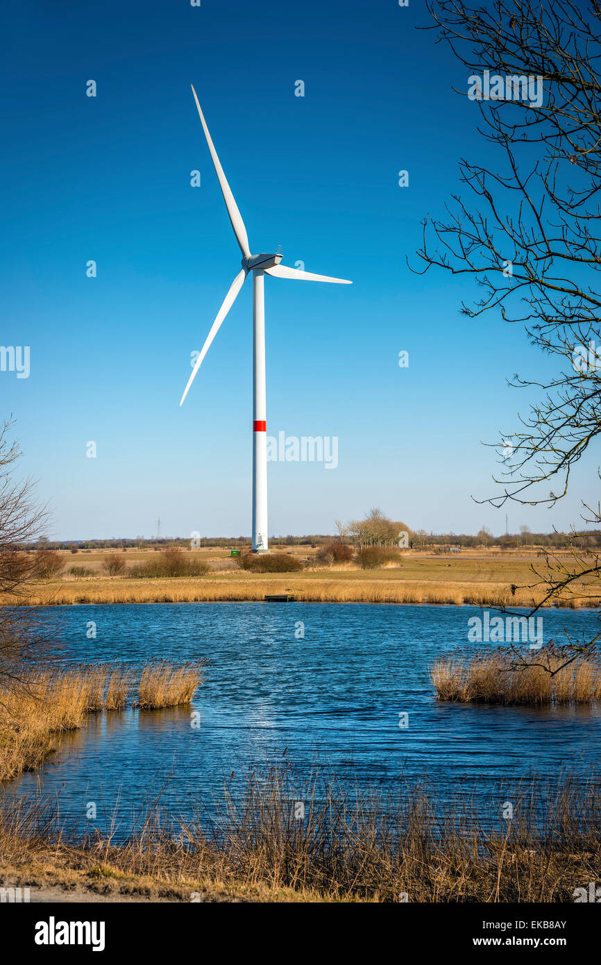 Windmill trees landscape hi-res stock photography and images - Alamy