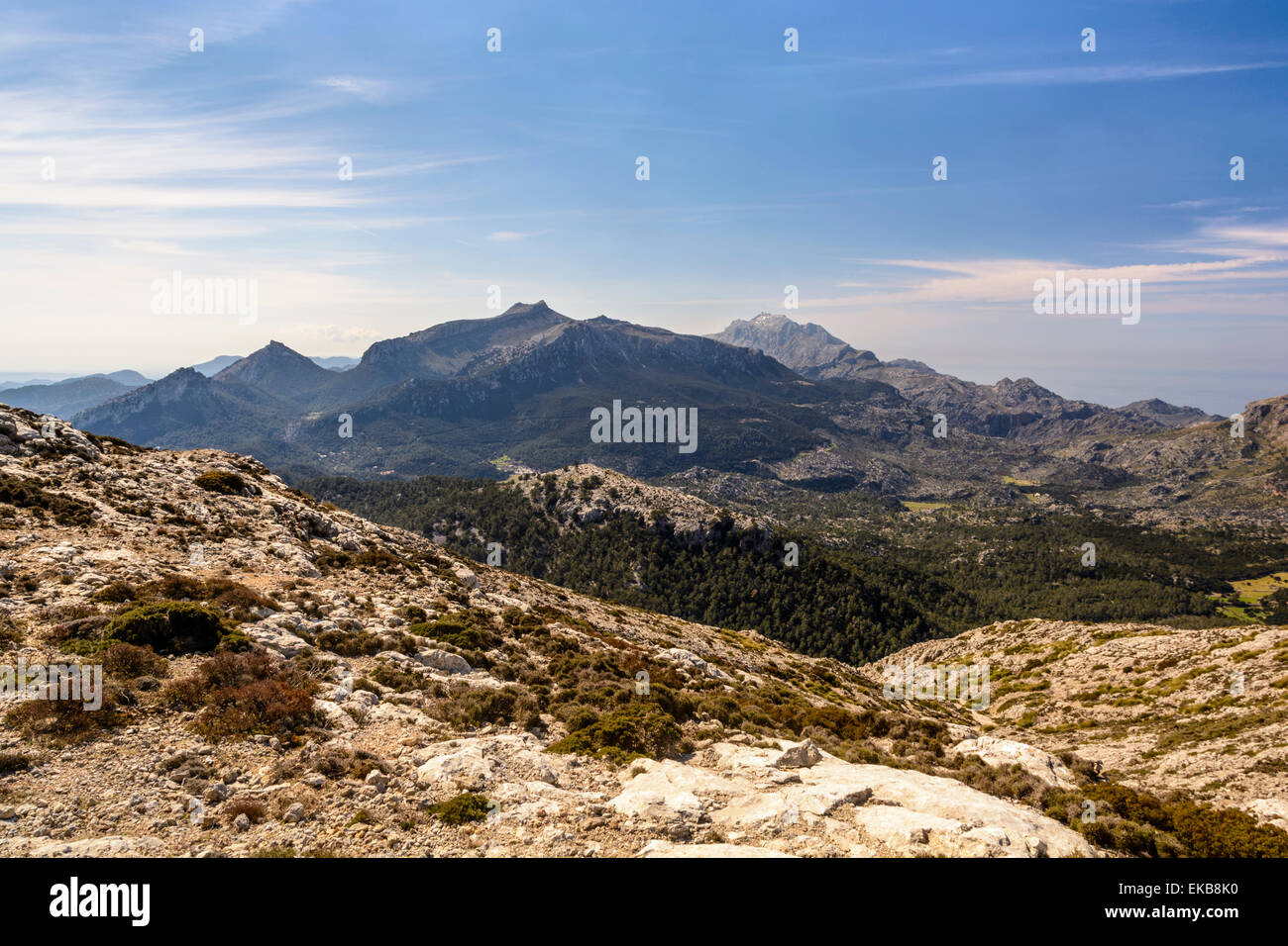 Puig major hi-res stock photography and images - Alamy