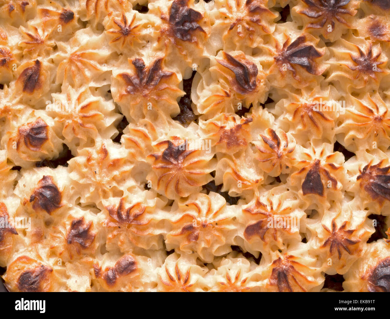 shepherd pie potato crust Stock Photo - Alamy