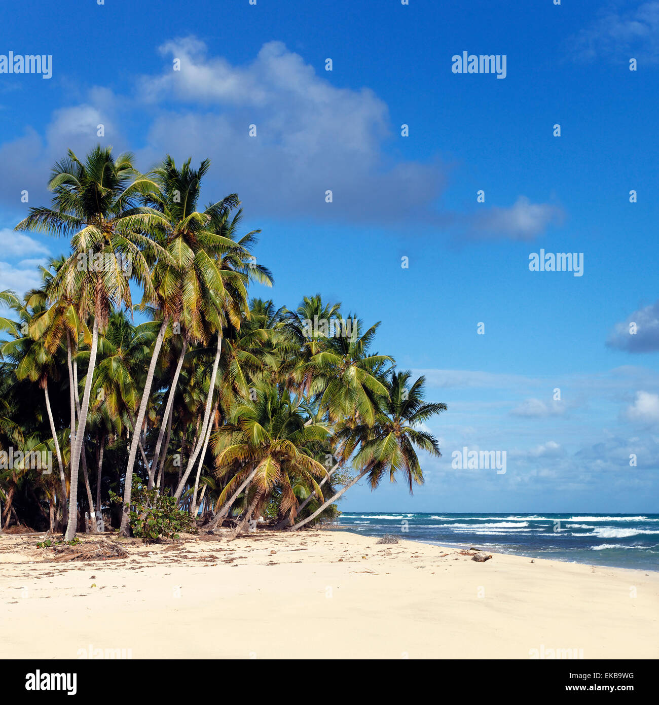 caribbean beach square Stock Photo - Alamy