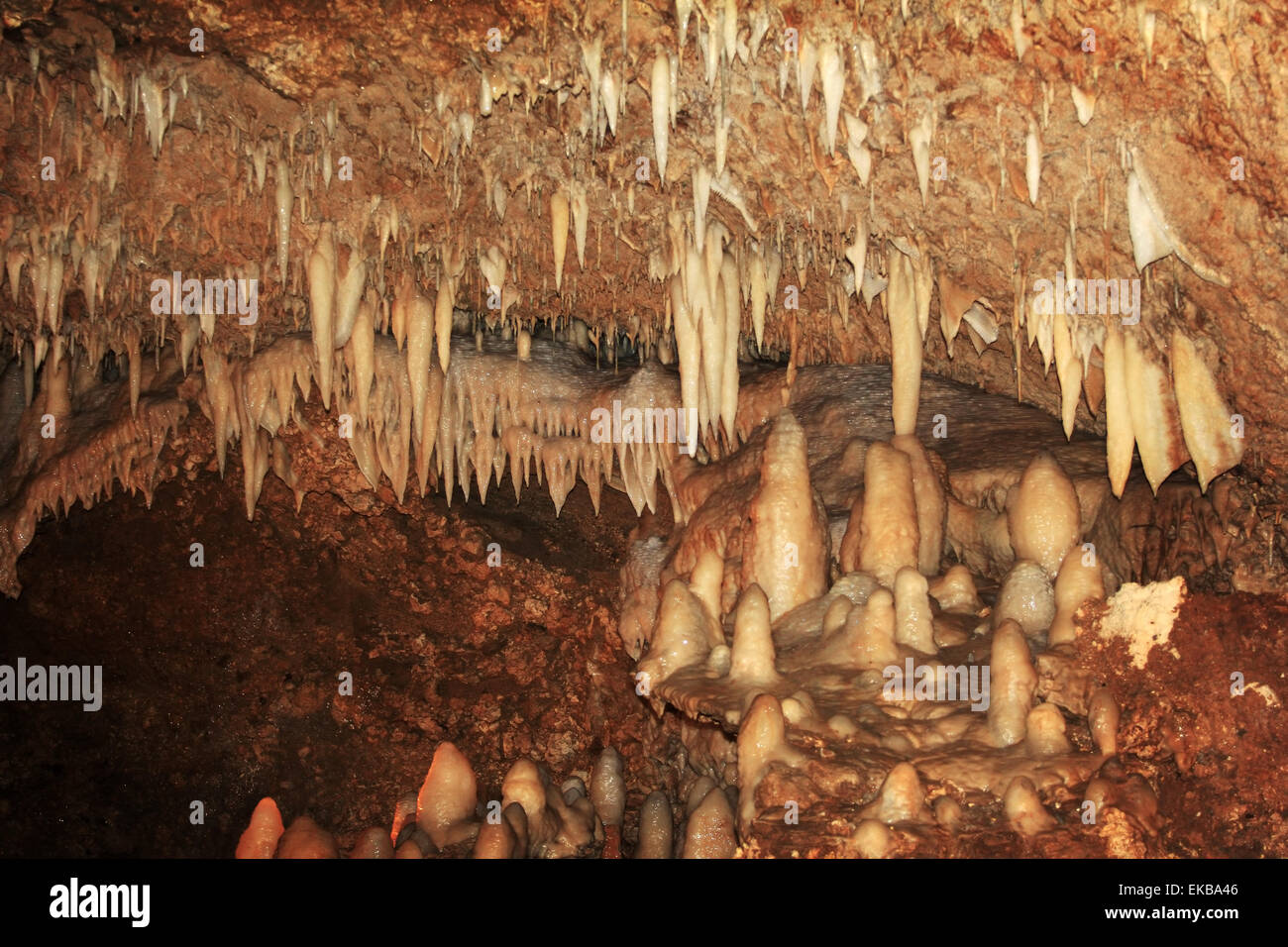 Harrisons cave barbados hi-res stock photography and images - Alamy