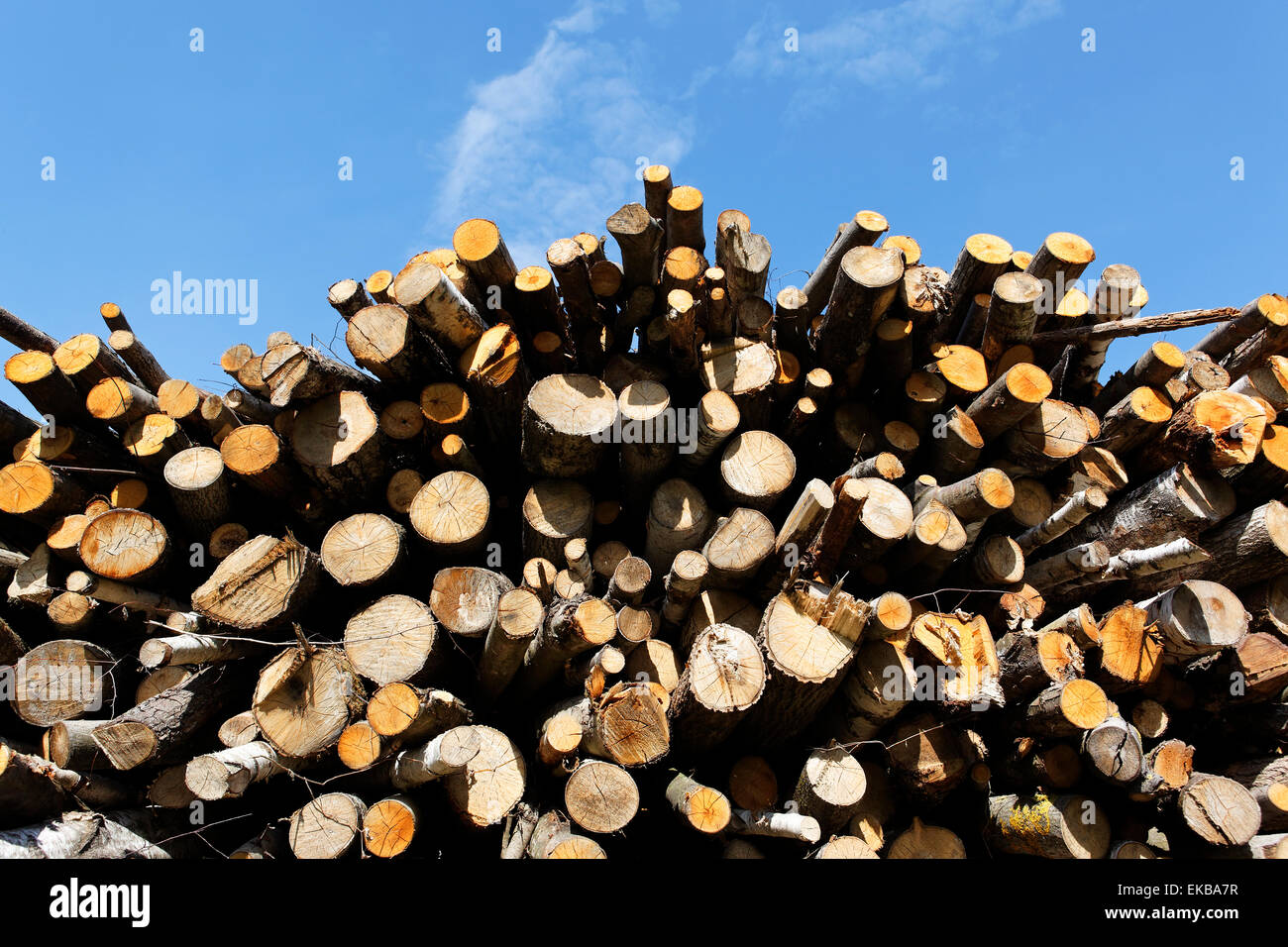 Big wood sawmill hi-res stock photography and images - Alamy