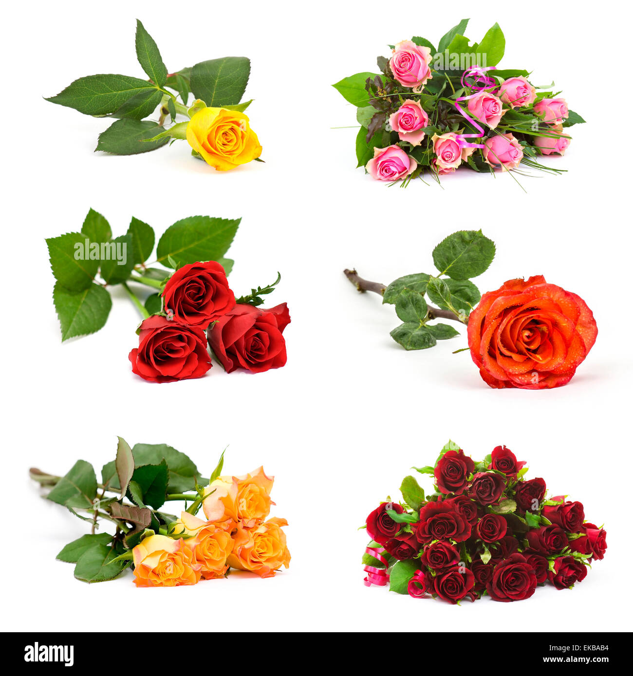 colourful roses - collage Stock Photo - Alamy
